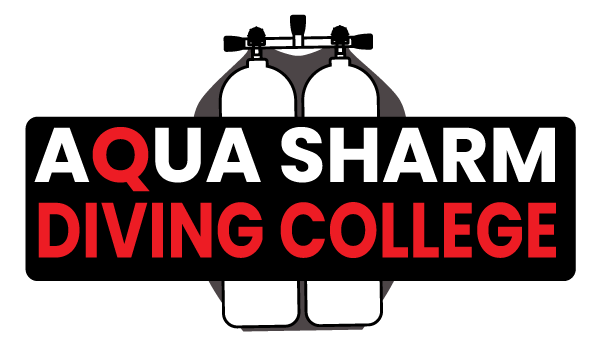 Aqua Sharm Diving College | Diving Center Sharm El Sheikh